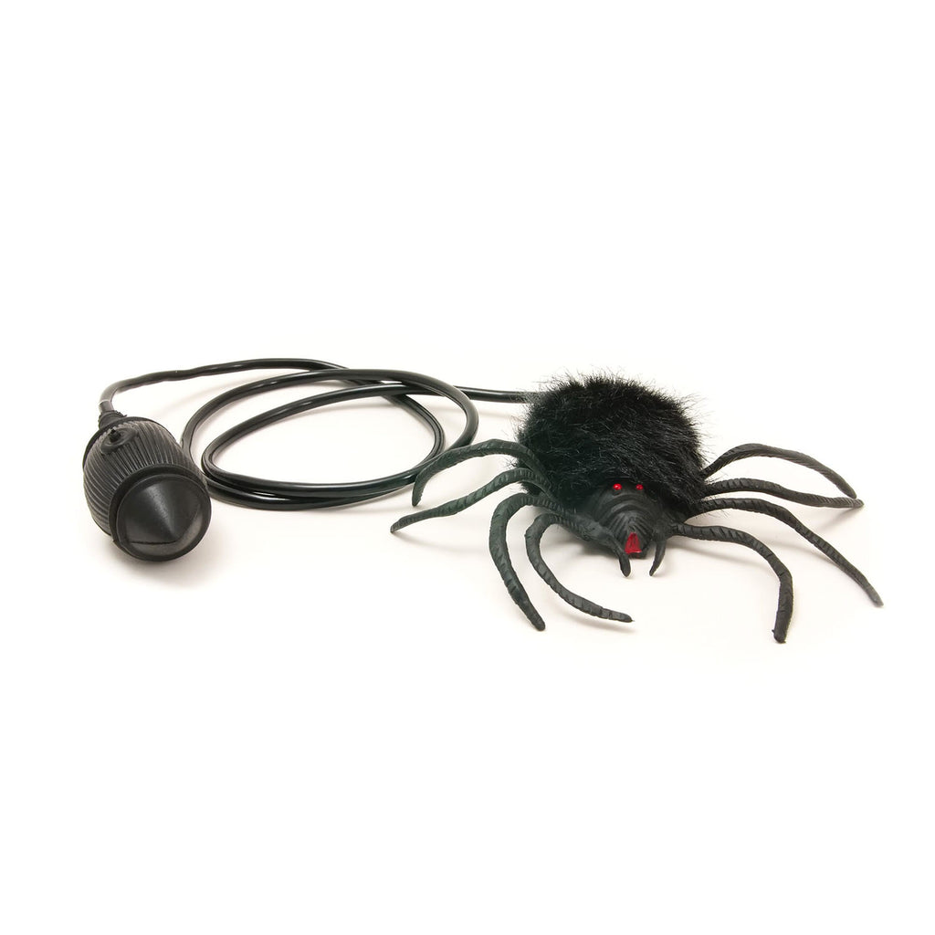 Hairy Scary Jumping Spider — COOKIE JAR